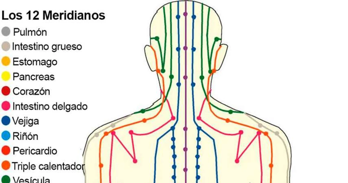 Descubre La Energía Interior De Los Meridianos